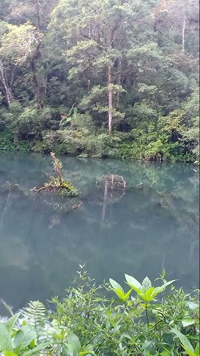 suara alam Telaga Biru gede-pangrango - YouTube