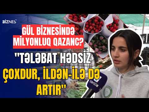 Zanbaq güllərinin topdan və pərakəndə satışı necə aparılır?