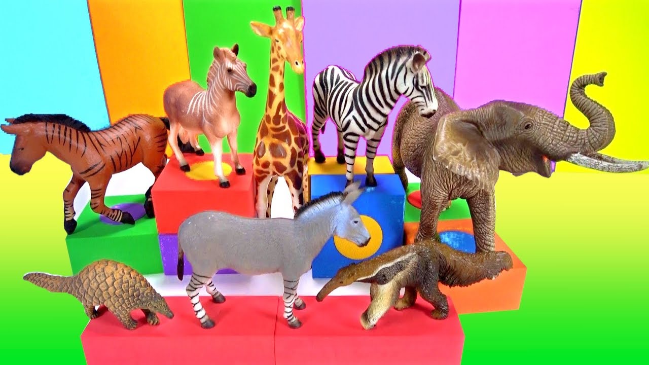 Learn about Wild Animals and their Names - Zoo Animals - Kids ...