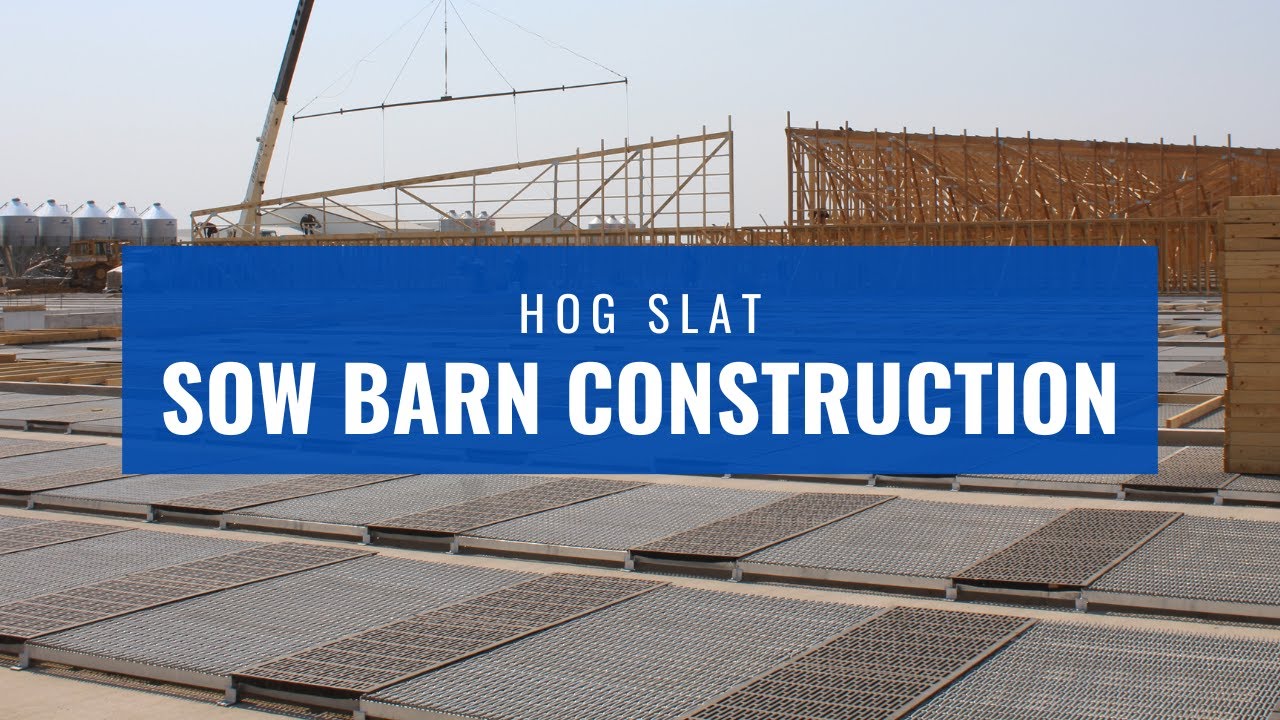 Sow Barn Construction - YouTube