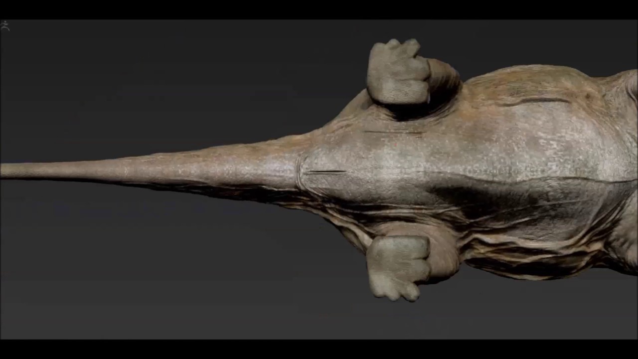 Brachiosaurus color - YouTube