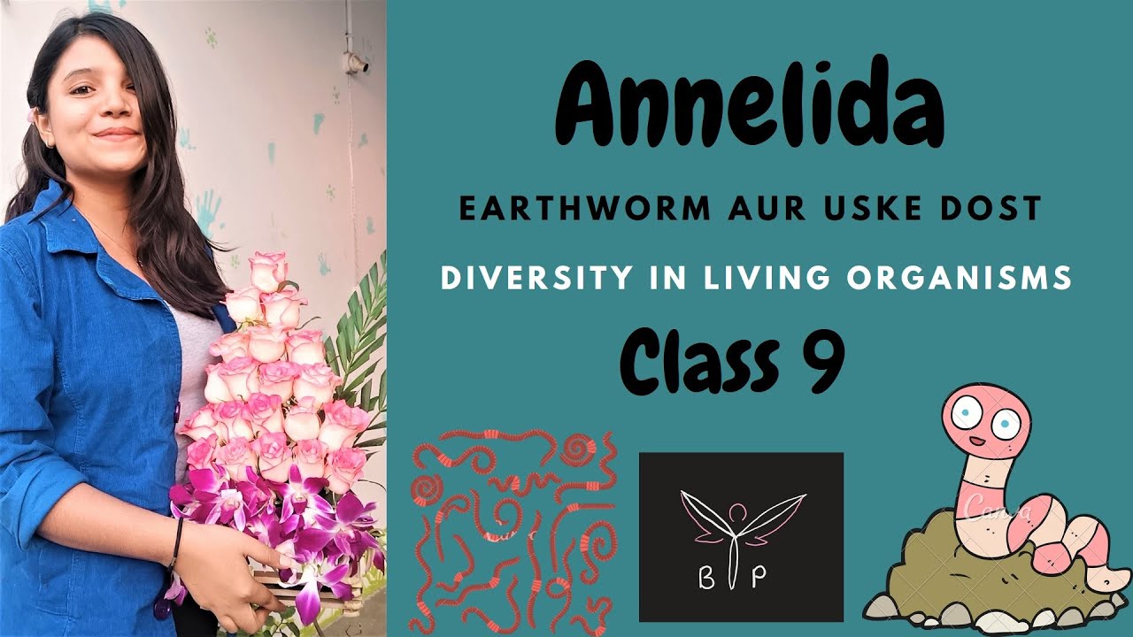 L16 Annelida- "Ringed" worms | Diversity in Living Organisms | Class 9 ...