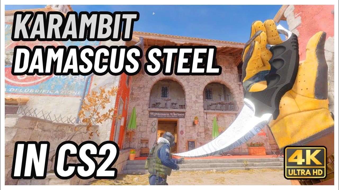 CS2 Karambit Damascus Steel | CS2 Knife In-Game Showcase [4K] - YouTube