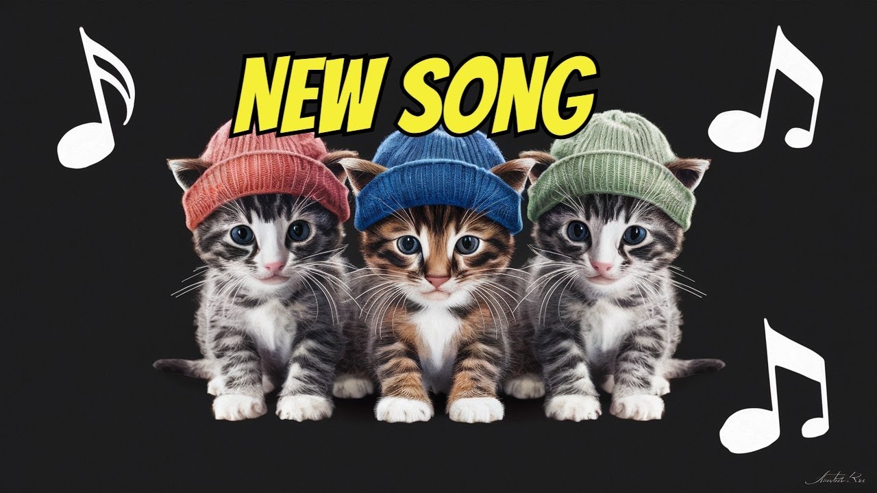 The Most Adorable January Bluegrass Kitten Band Celebration! - YouTube