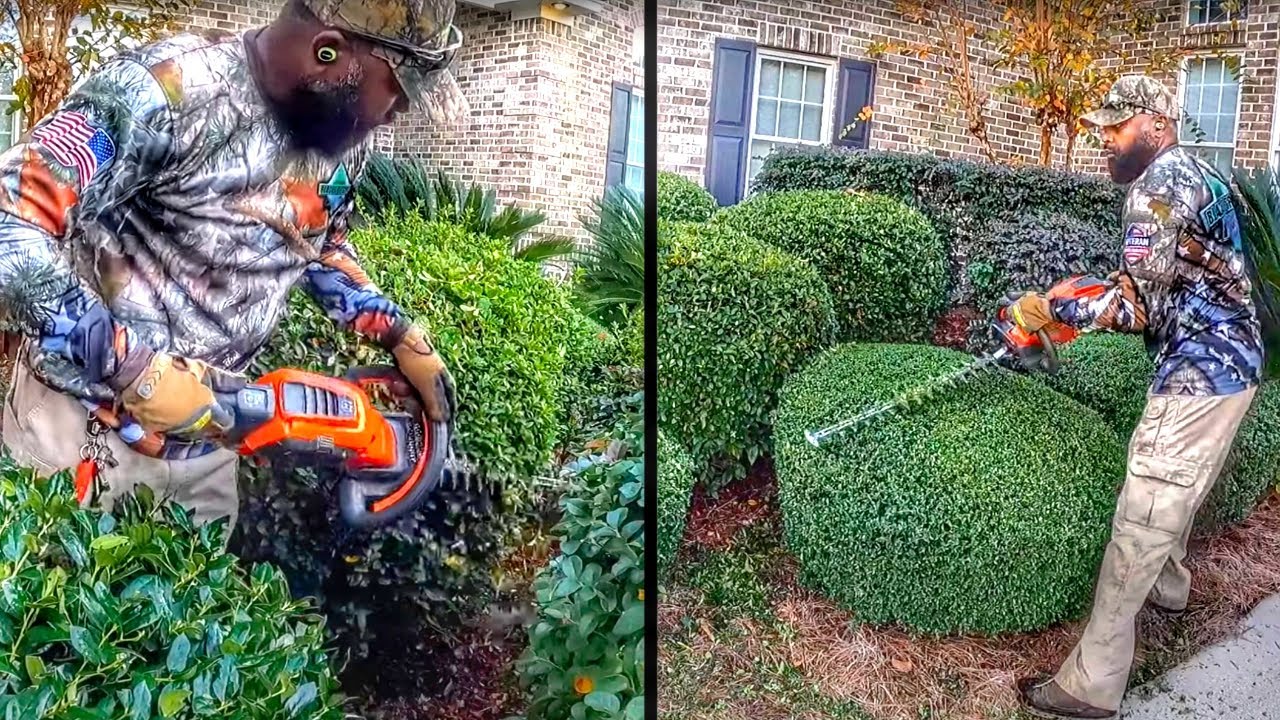 Calm Relaxing Bush Trimming in Real-Time - YouTube