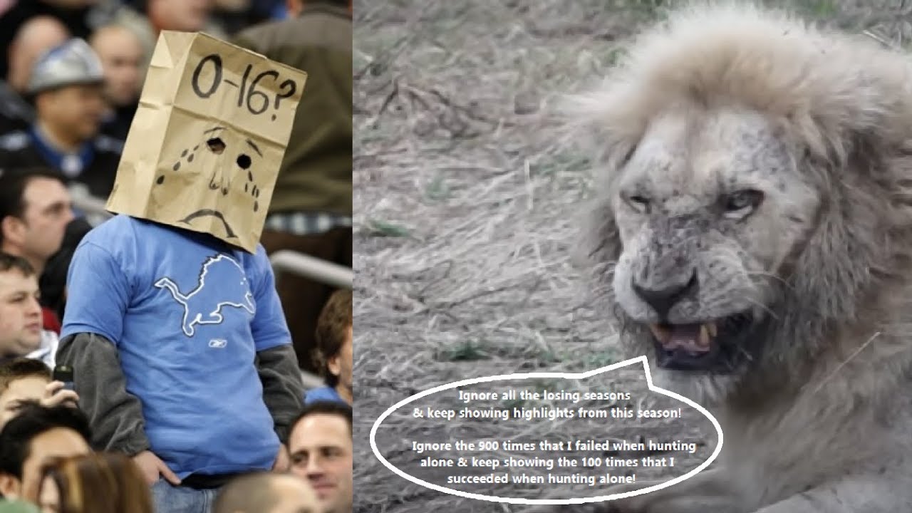 Big Cat Fantasy World 🆚 Big Cat Reality - YouTube