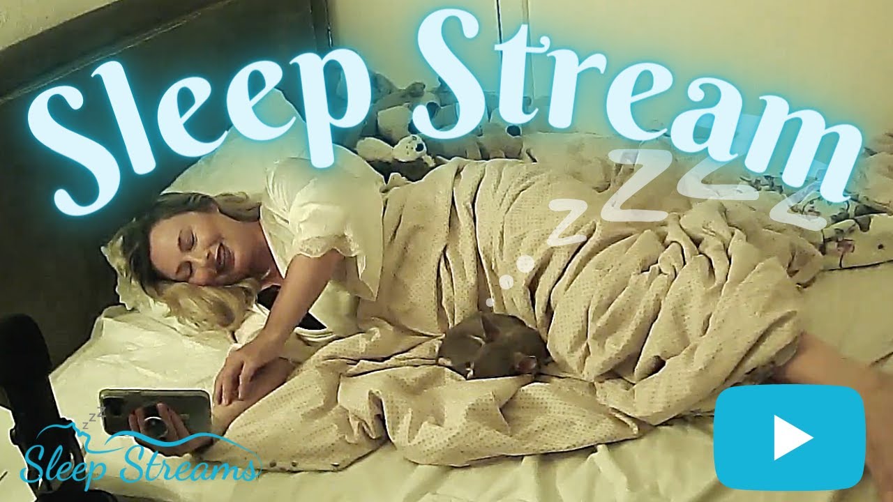 live Sleep Stream with Snoring ASMR with Puppy - YouTube