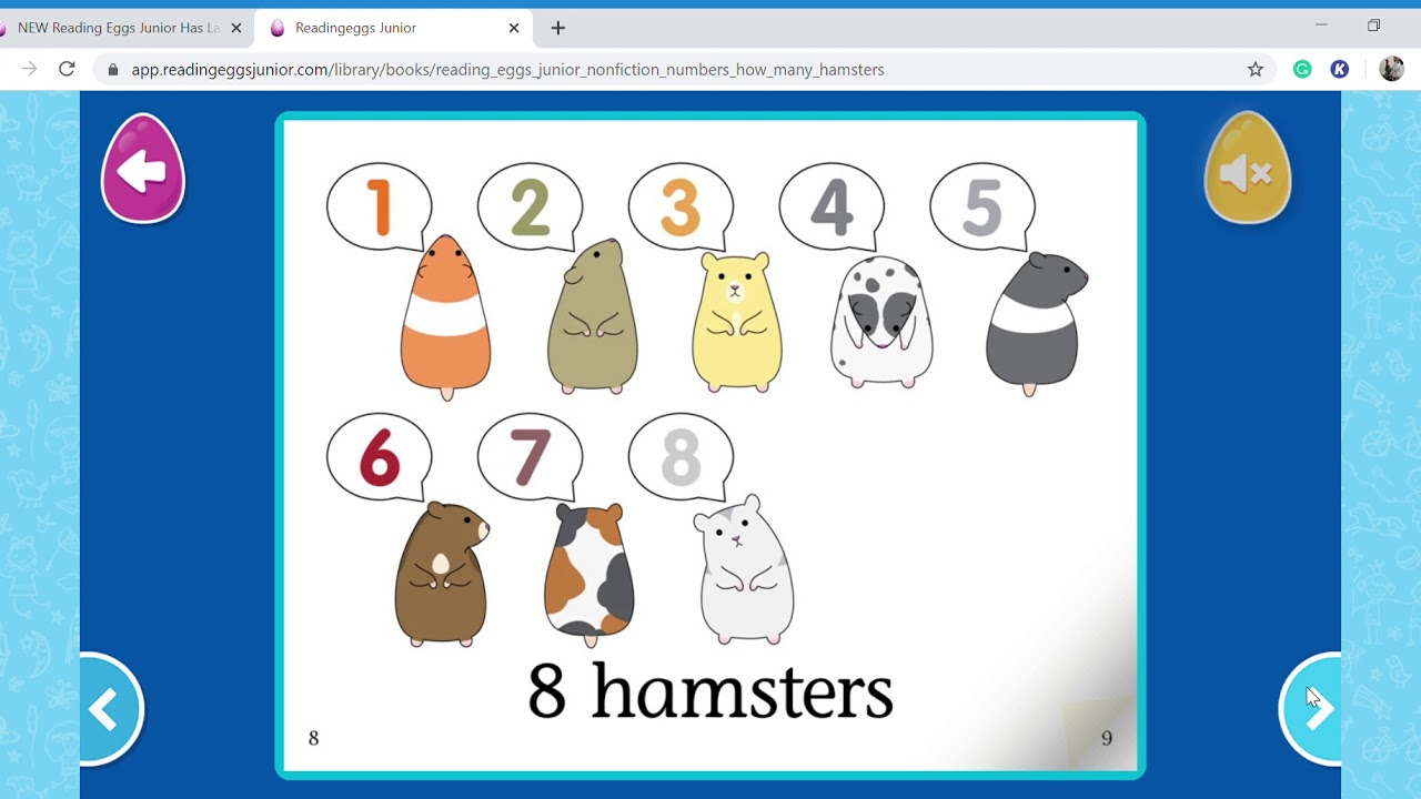 counting hamsters - YouTube