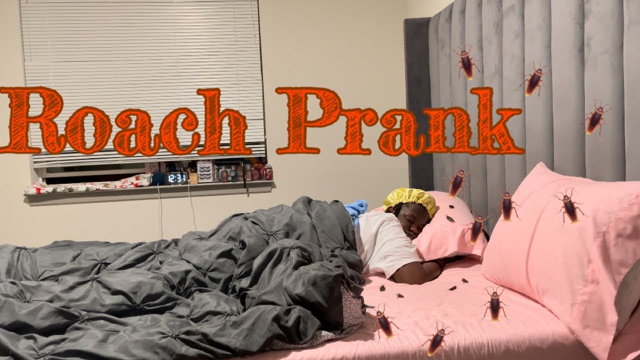 COCKROACH PRANK ON GIRLFRIEND!!! *HILARIOUS* - YouTube