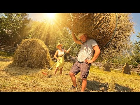 Gölgede +40°C! 🥵 Köyde aşırı sıcaklarda nasıl hayatta kalıyor ve çalışıyoruz?