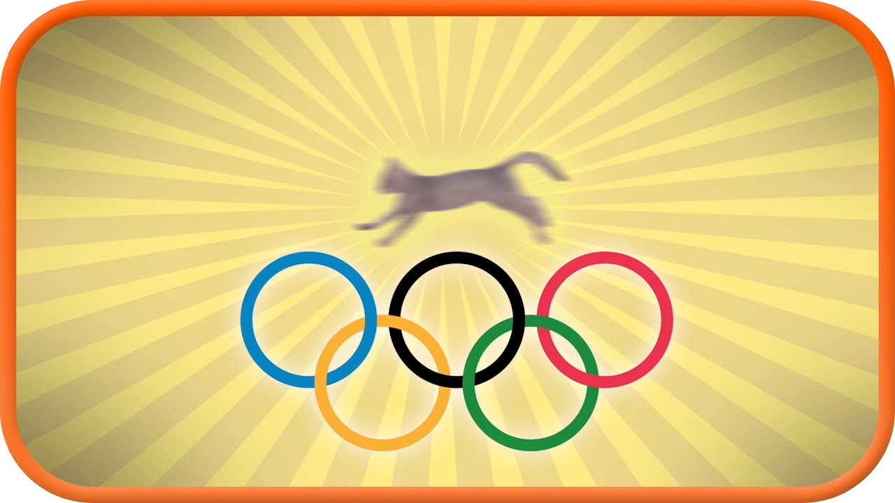 CAT OLYMPICS 2016 - Katzen Olympiade 2016 | Pommelz Fritz™ - YouTube