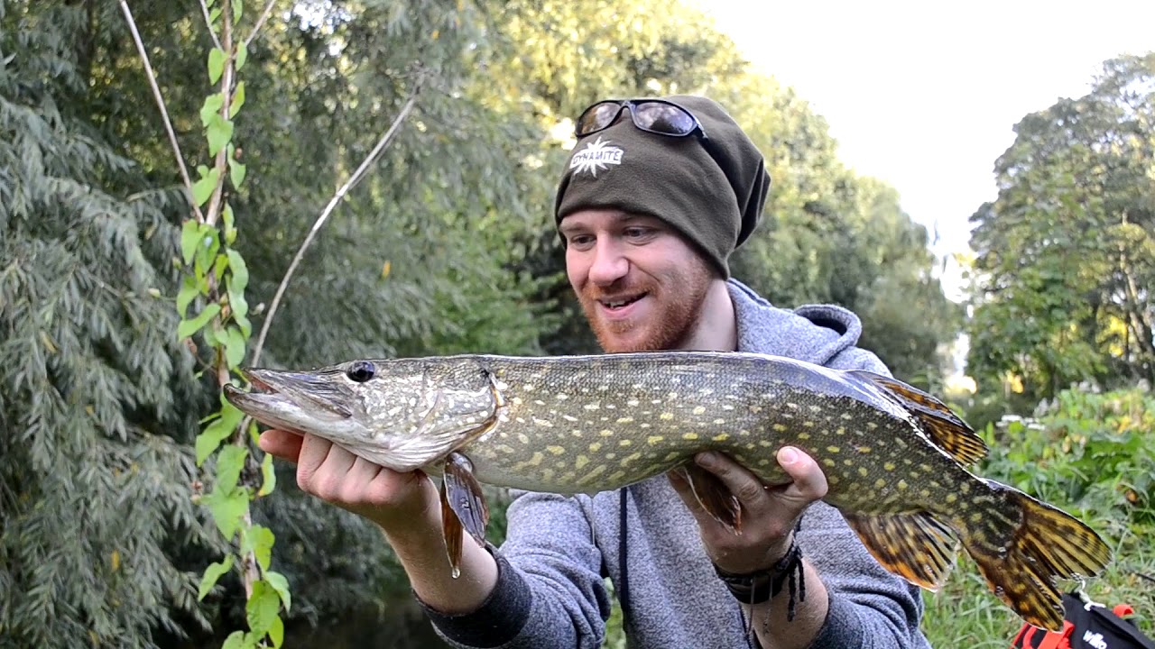 Stalking River pike - YouTube