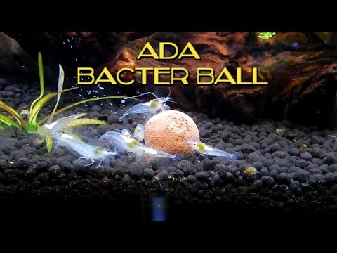 ADA BACTER BALL - YouTube