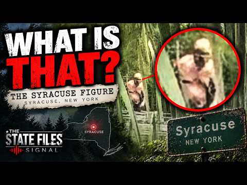 The Syracuse Figure: Bigfoot, Animal… or Something Else?