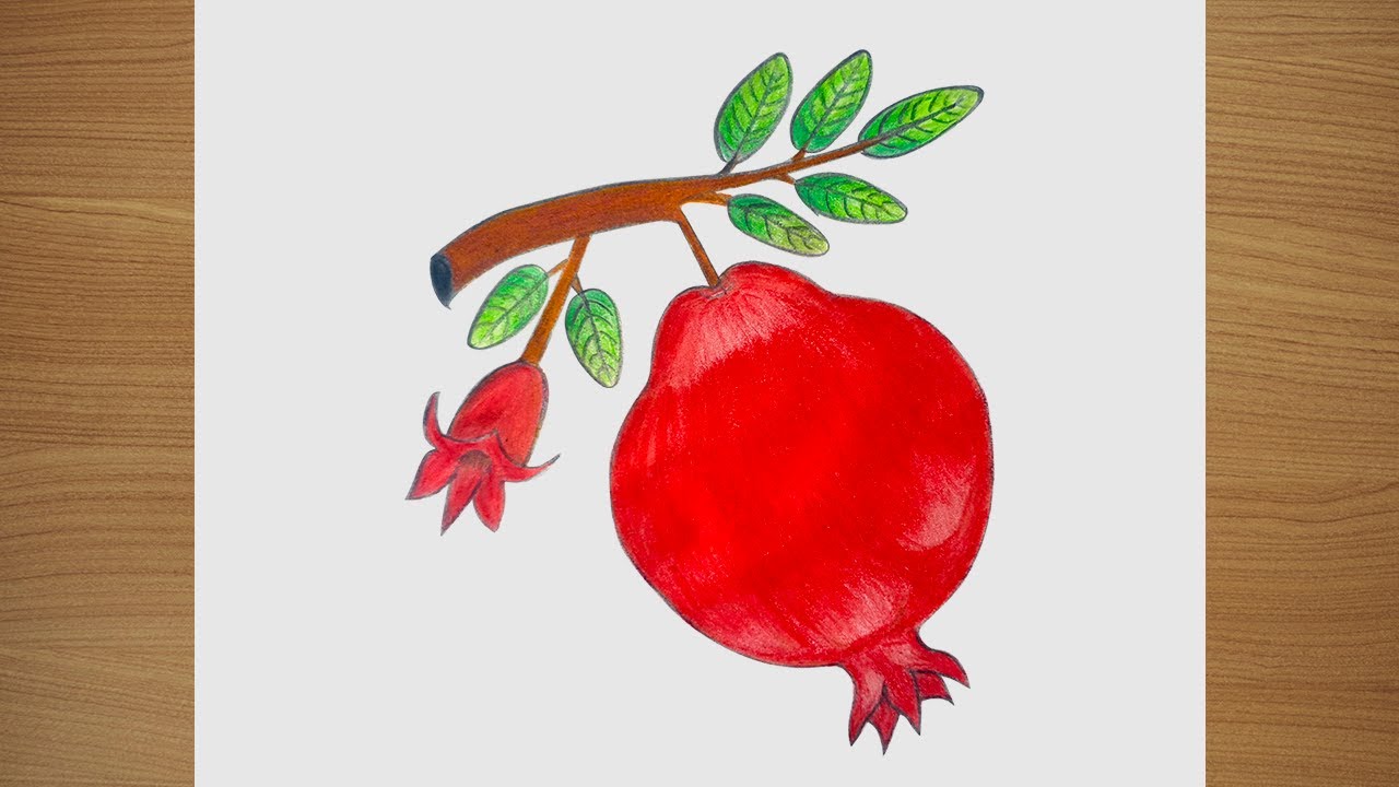 How To Draw A Pomegranate Step By Step | Easy Tips | Drawing Tutorial ...
