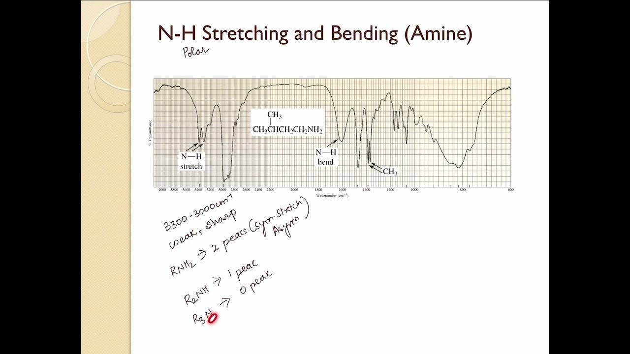 N-H Stretching and Bending Vibrations - YouTube