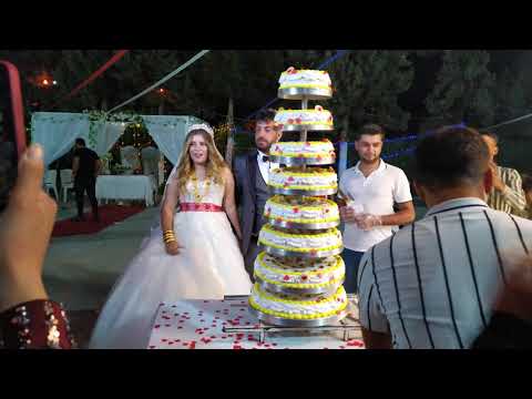 ceylanpinar diyek ailesini dügün töreni abdullah diyek 12