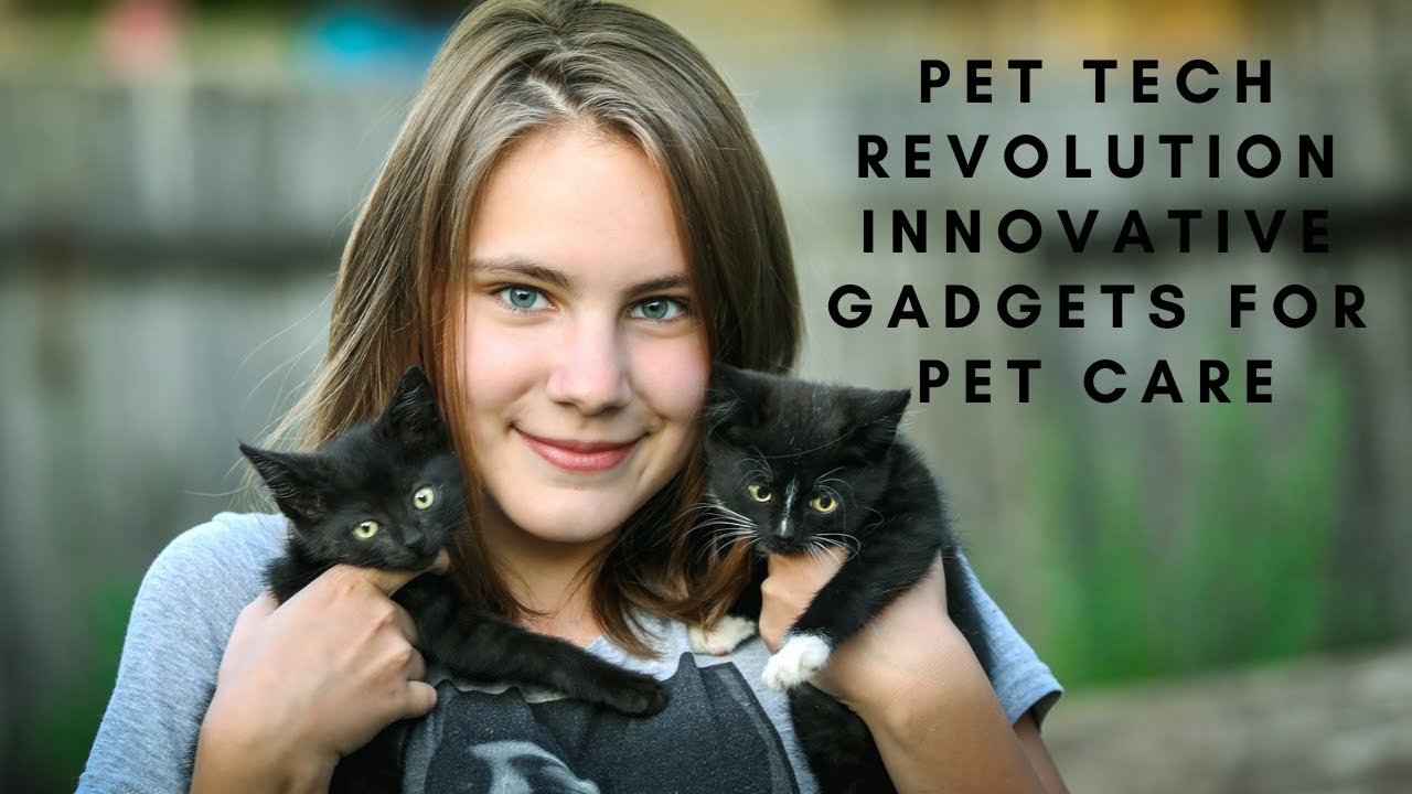 Pet Tech Revolution: Innovative Gadgets for Pet Care - YouTube
