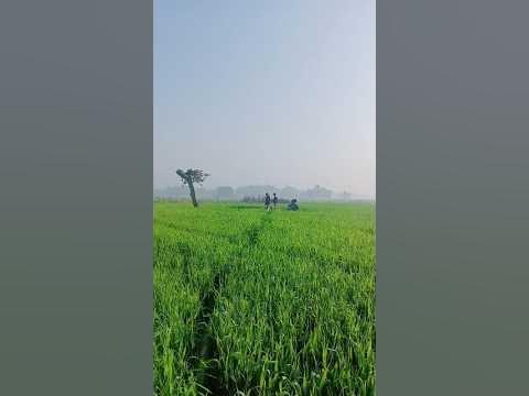 Aaj aa gaya khet me Pani chalane #secondvlogmekyabole #minivlog #vlog - YouTube