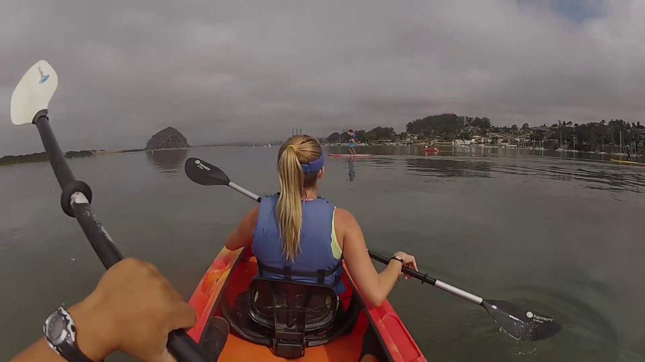 Kayaking Morro Bay, CA - YouTube