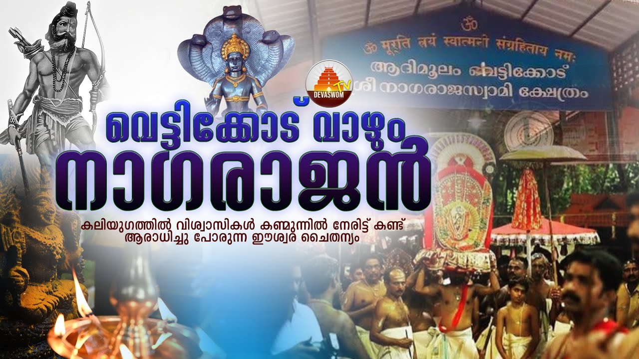 Aadimoolam Vetticode Sree Nagaraja Swami Temple/ആദിമൂലം വെട്ടിക്കോട് ...