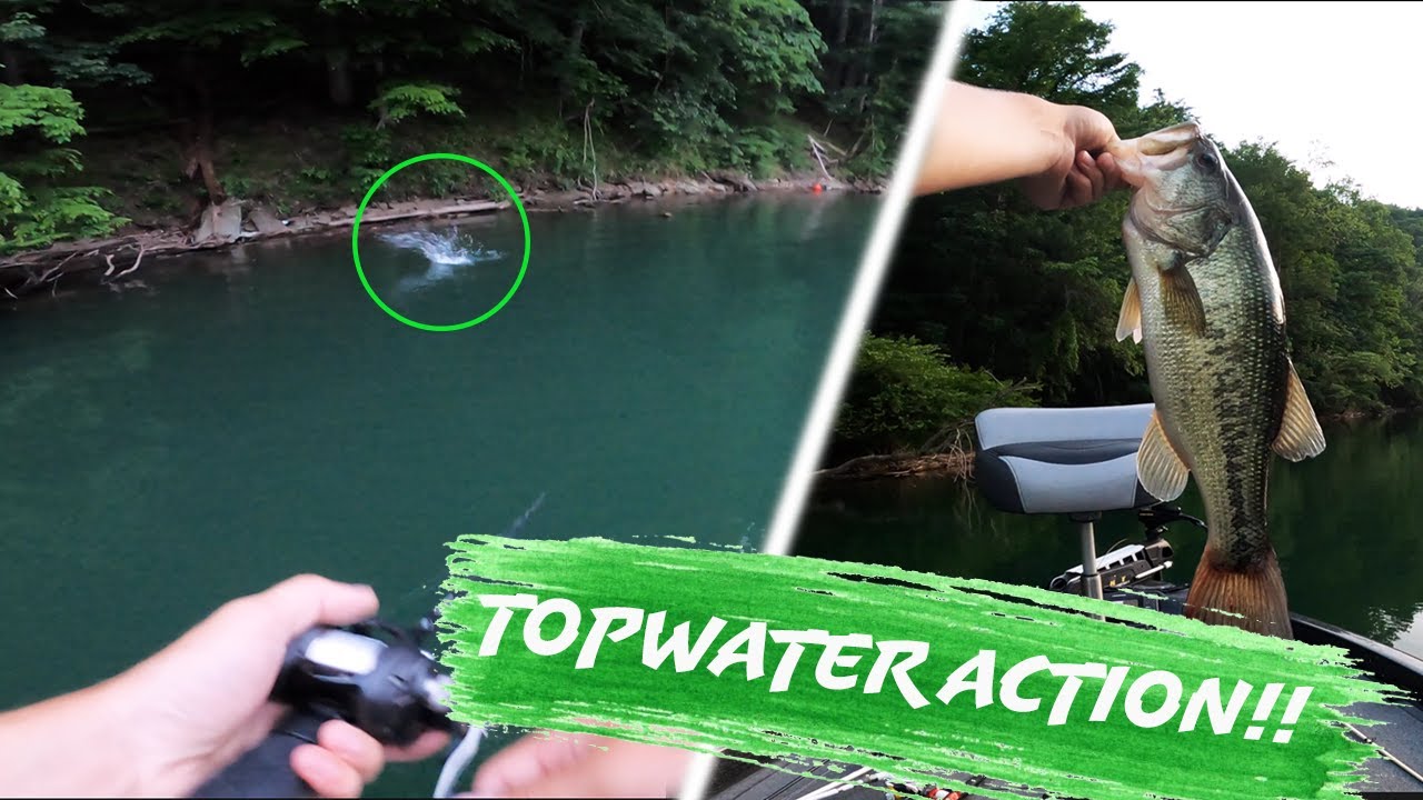 Bass Fishing - Topwater Action!! - YouTube