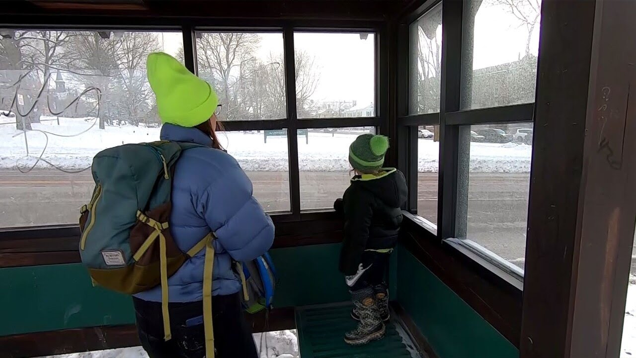 Bystanders step in to help as woman tries to snatch child from bus in ...