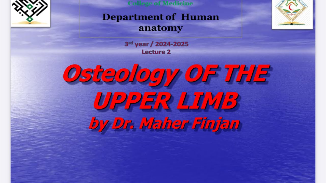Anatomy lecture 2 ( Humerus ) - YouTube