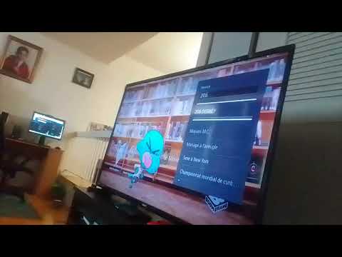 vanice veer vs techno-pirate, uncanny valley & sparrow miraculous world ...