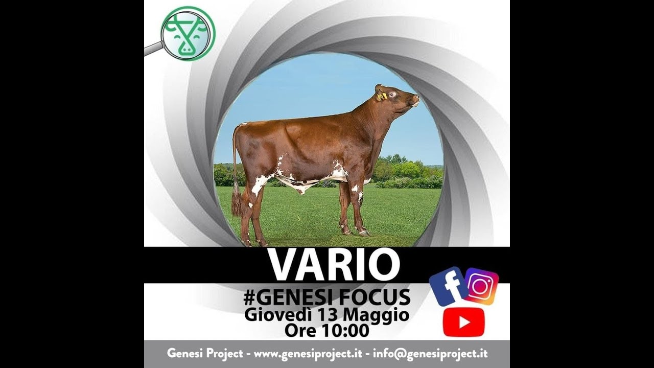 Genesi Focus - VR Vario - YouTube