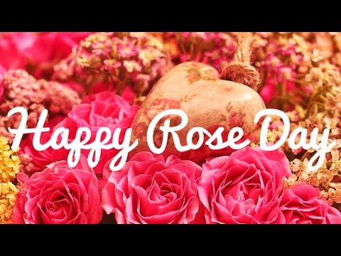 🌷Happy Rose Day Status🌷 | Happy Rose Day video | Happy Rose Day Wishes