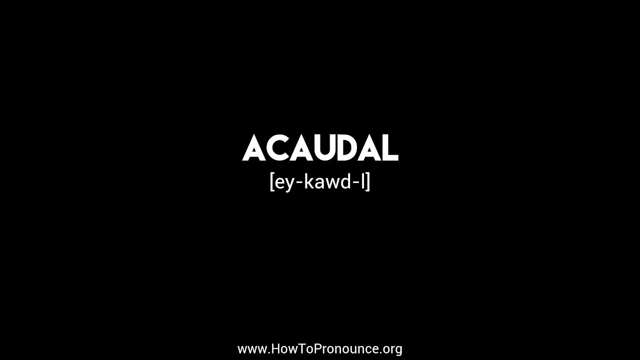How to Pronounce "acaudal" - YouTube