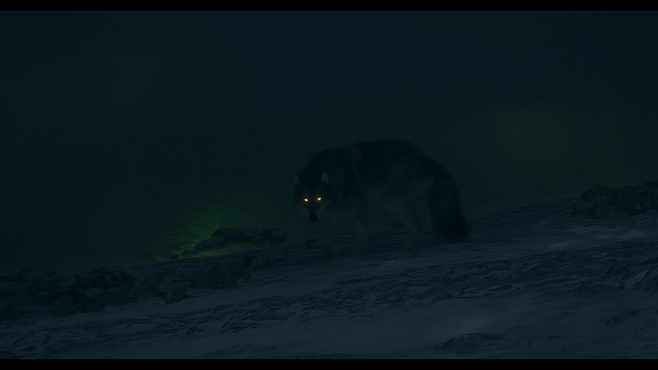 G1 wolves? G1 WOLVES! - YouTube