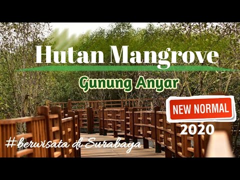 mangrove gunung anyar surabaya - YouTube