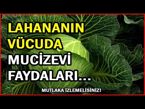 Lahananın Vücuda Mucizevi Faydaları! FAYDALARI İNANILMAZ!