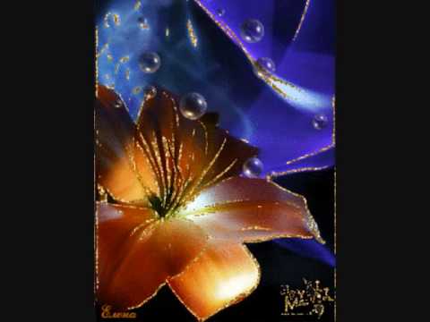 ♥▪NiCe sound  ▪♥ KaMal Ali