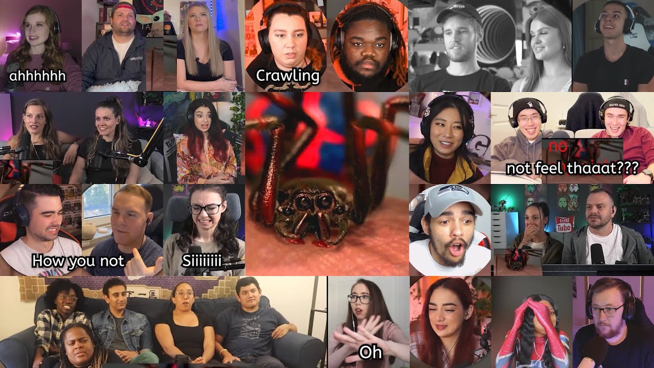 Spiderman 2002 Reaction Mashup "Spider Bite Scene" - YouTube