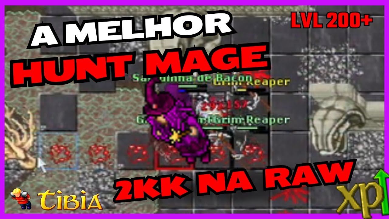💥Tibia Mage lvl 200+: Encontrei a HUNT SECRETA de MUITO XP! (Vale a Pena?)🤔 - YouTube