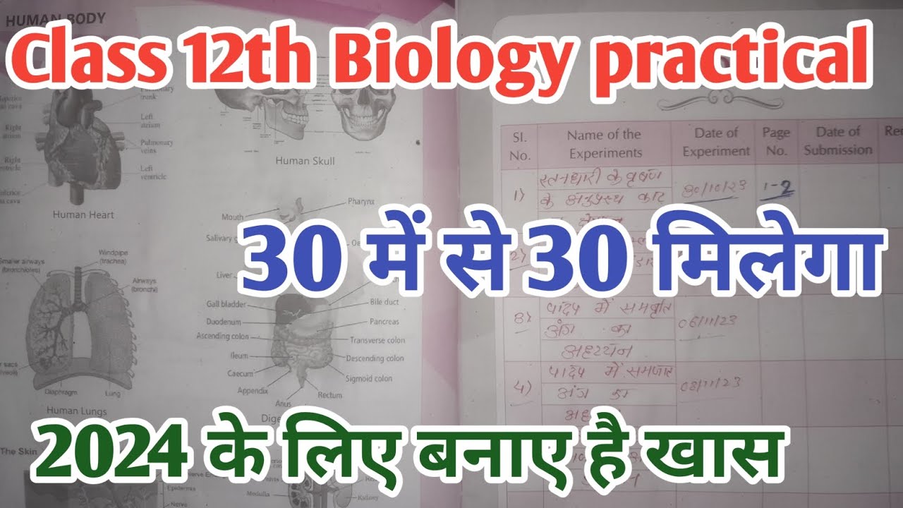Class 12th Biology ka practical copy kaise likhe // class 12th science ...