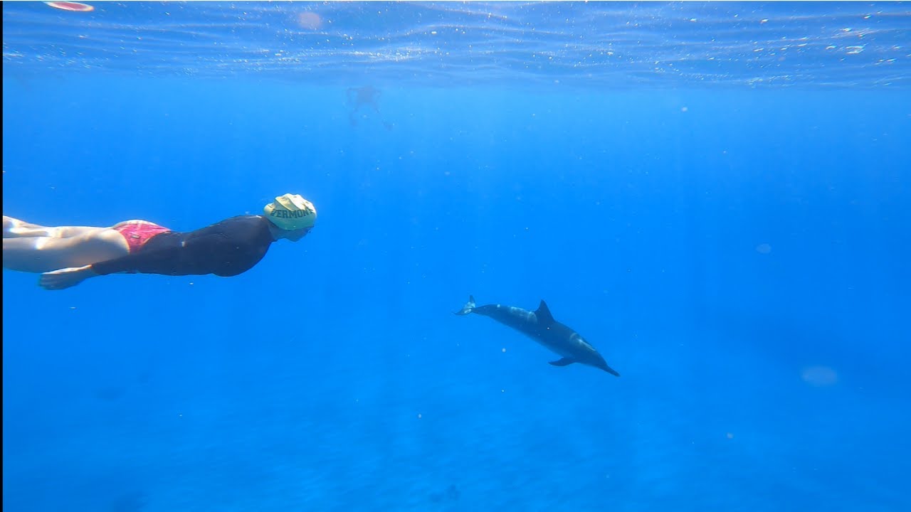 Swimming in Hawaii ~ Best Places to Swim on the Big Island - YouTube