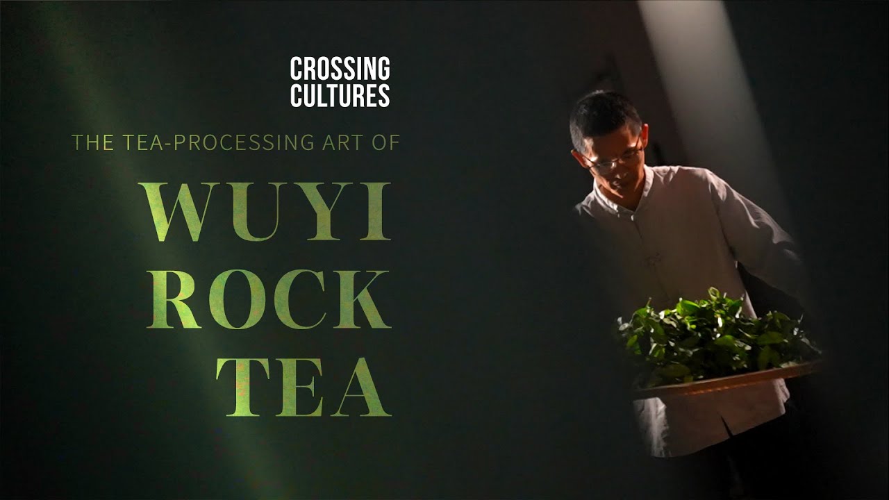 The tea-processing art of Wuyi rock tea - YouTube