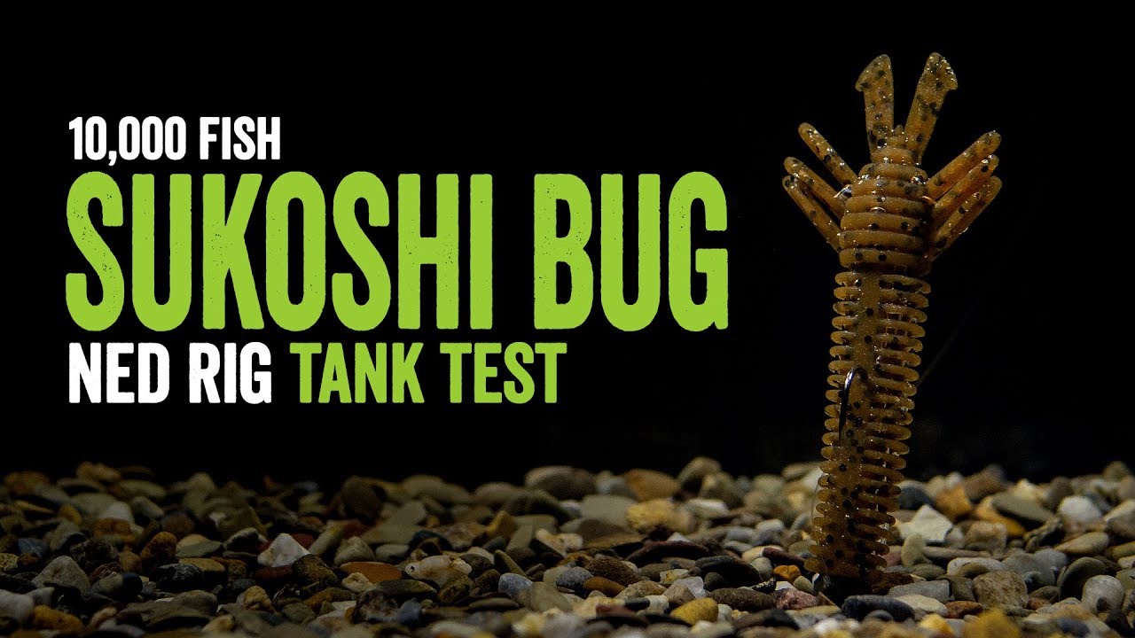 Sukoshi Bug: Ned Rig Underwater Tank Test - YouTube