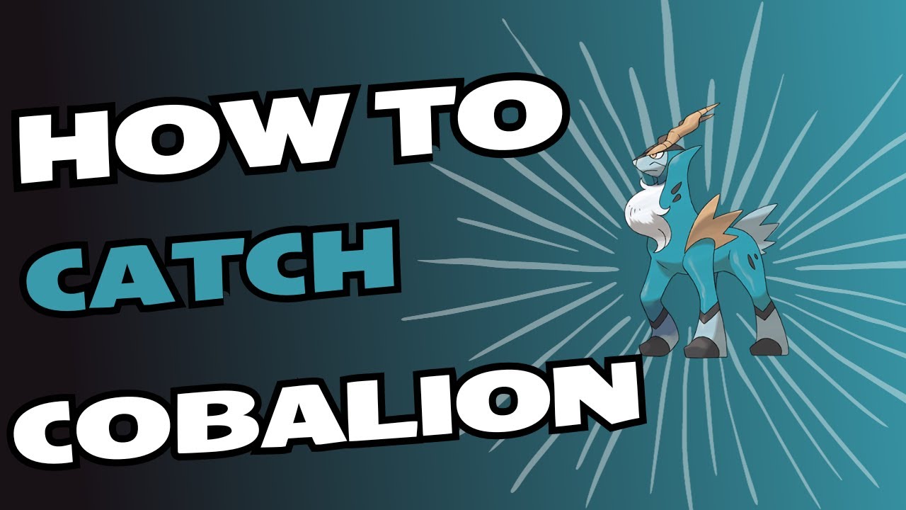 How To Catch Cobalion In Pokemon Scarlet and Violet!! - YouTube