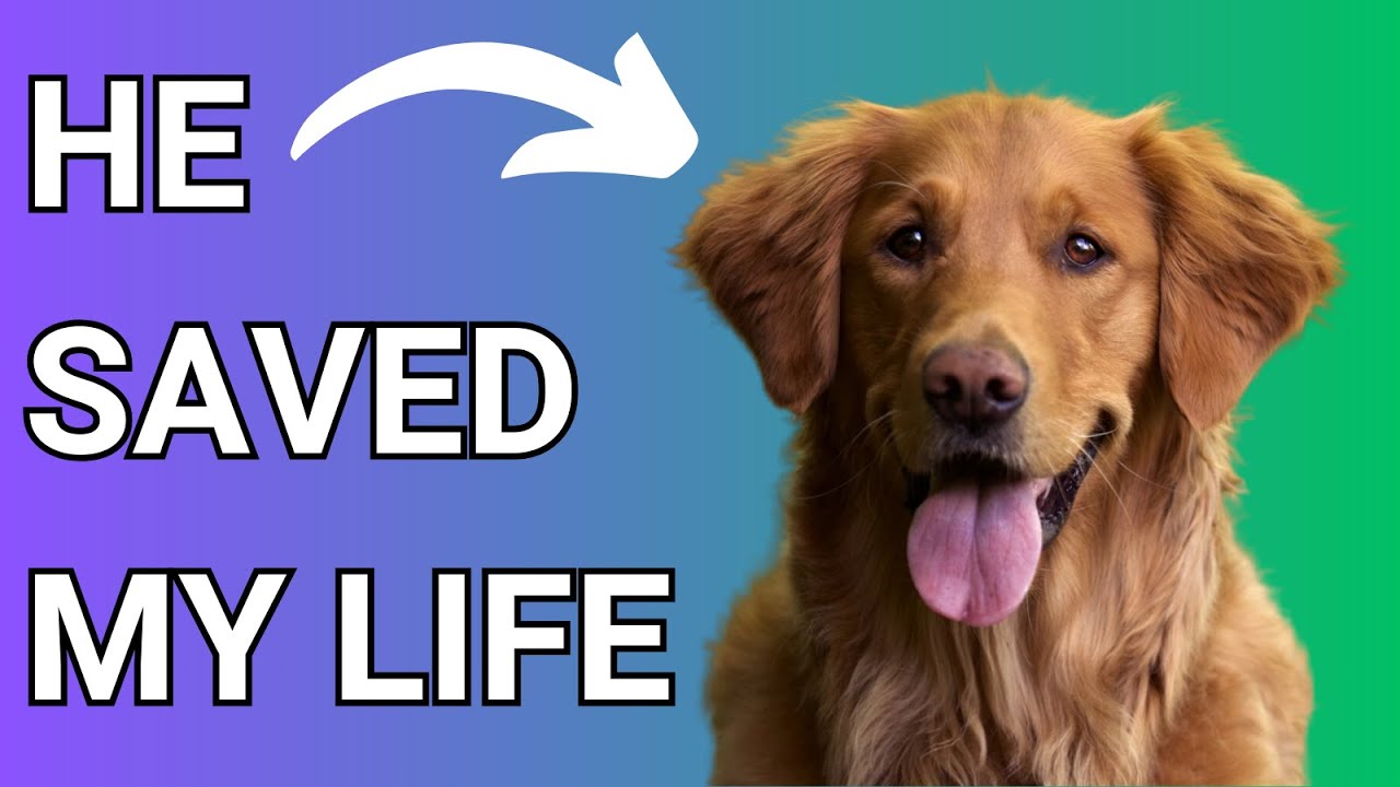 My Rescue Dog Saved My Life - A Heartwarming Story You Need to Hear ...
