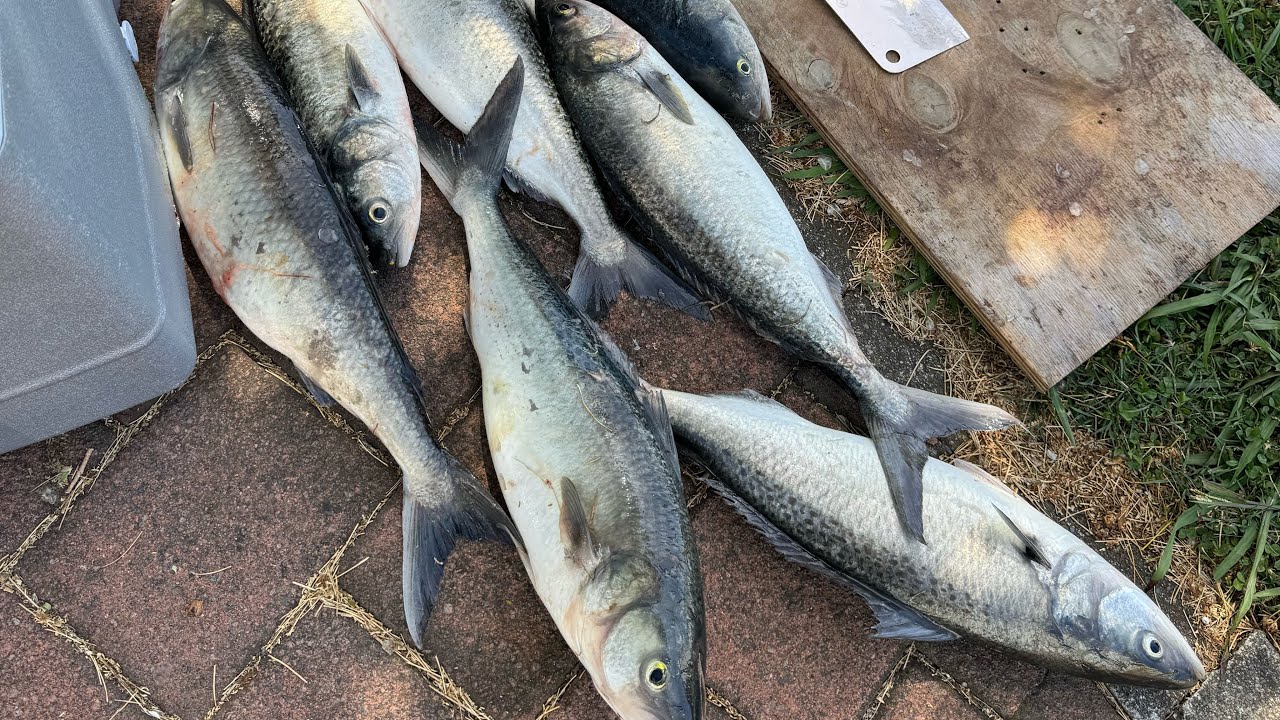 Sunday Fishing - YouTube