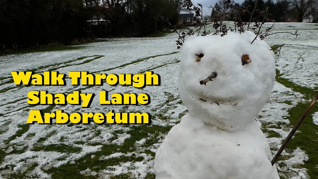 Walk through Shady Lane Arboretum Leicestershire - YouTube