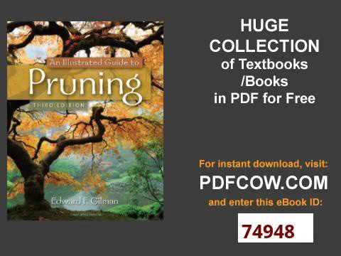 An Illustrated Guide to Pruning - YouTube