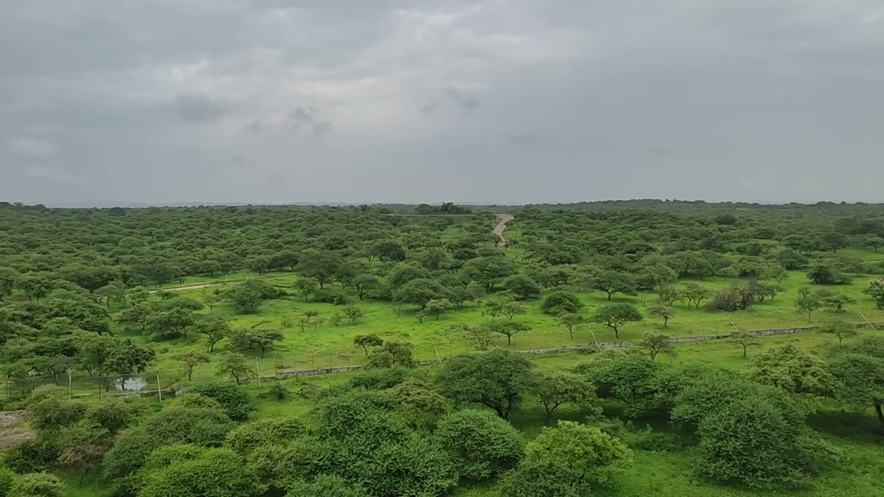 Devaliya Safari Park - Sasan Gir Interpretation Zone - YouTube