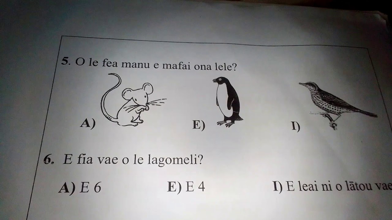 Siumu Primary - Year 3 Science Review. - YouTube