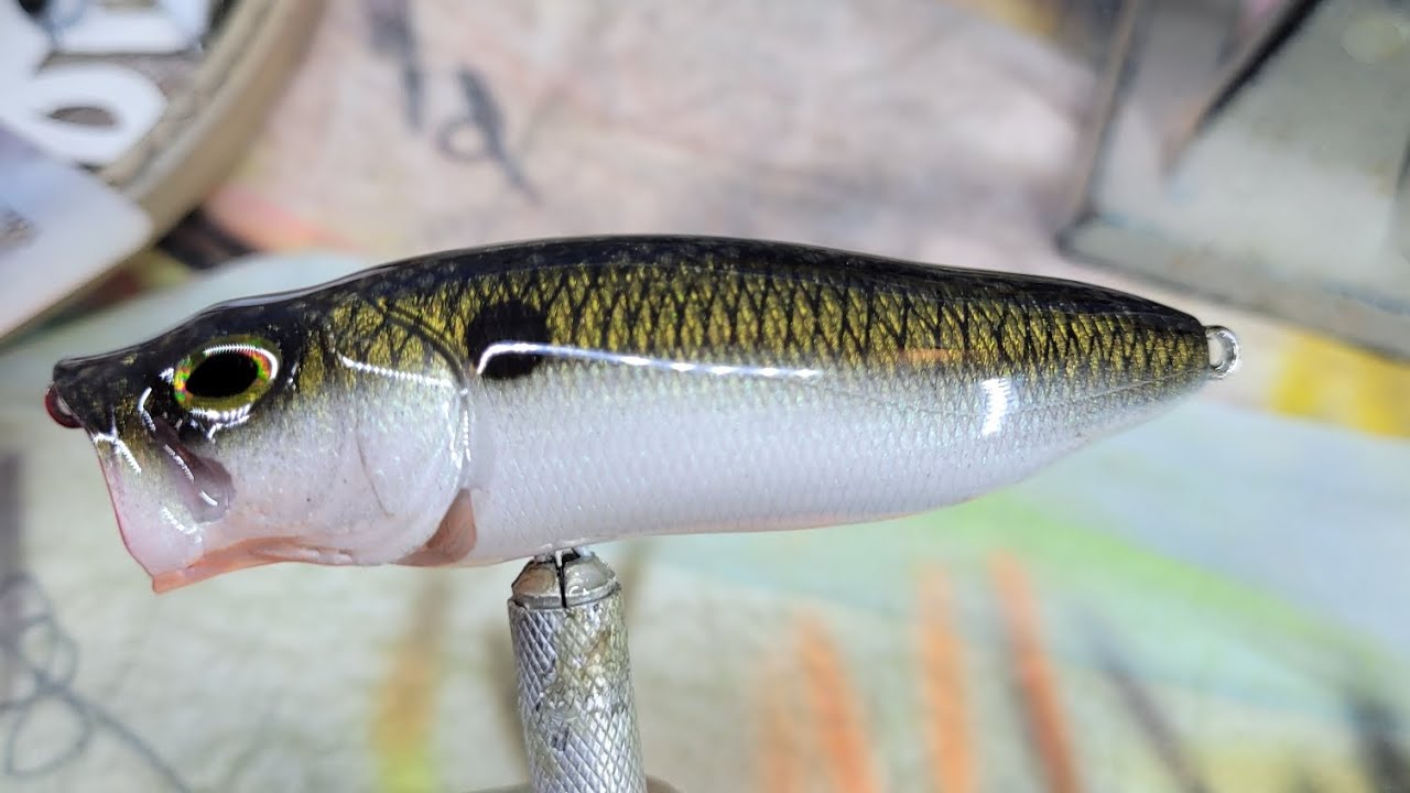 Shiner shad on a popper - YouTube
